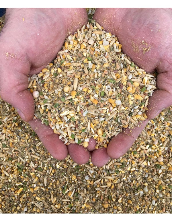 How Much Chicken Feed Do You Actually Need? (A Backyard Guide) – CityChick